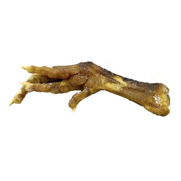 Chicken's Claw – The Witches Sage LLC